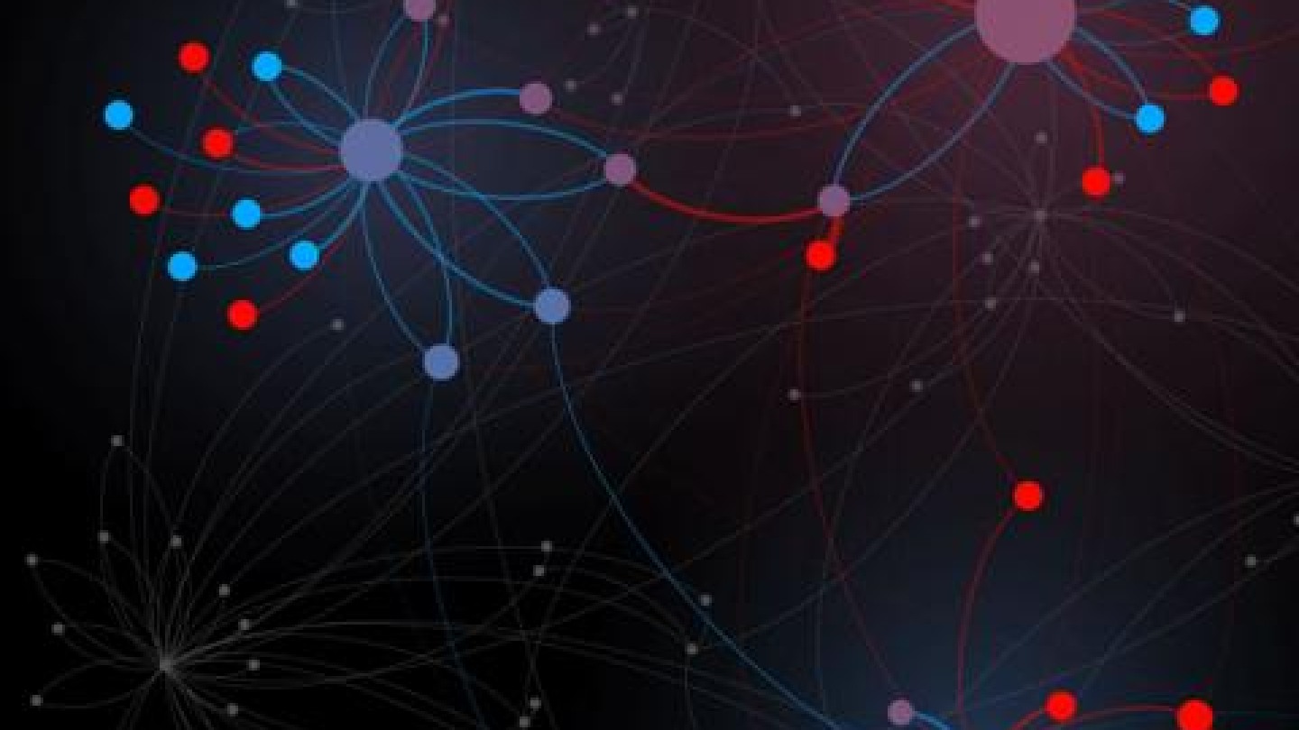 Brain networks: Inferring cortical microcircuitry with ...