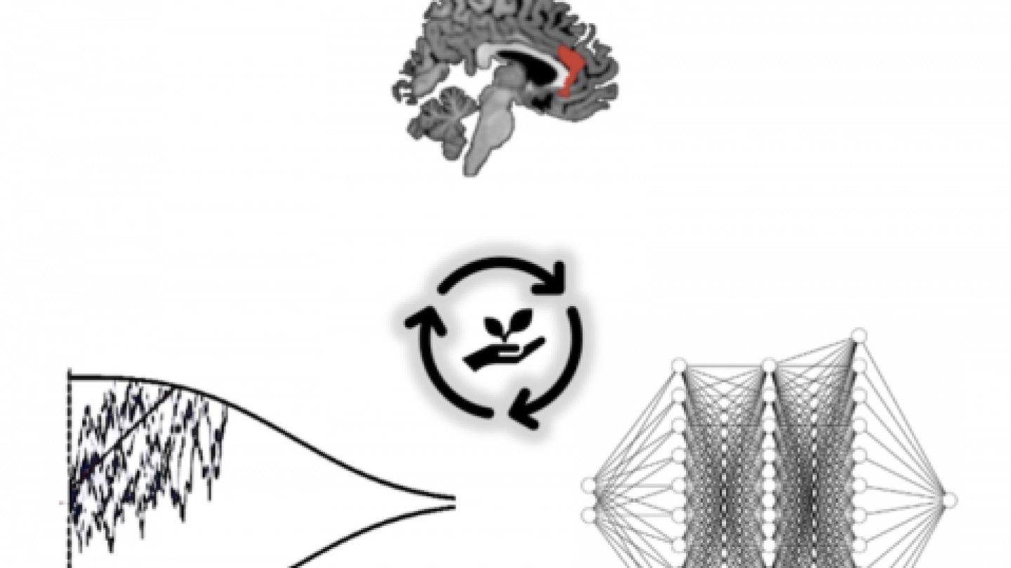 Neuro-Informed Hierarchical Models of Cognition | Carney Institute for Brain Science | Brown ...