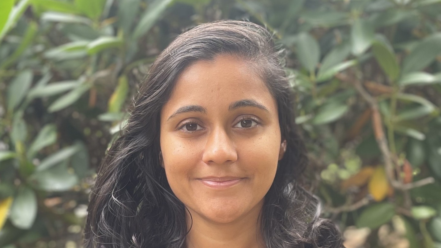 Carney scientists unveil a new model that demonstrates how humans learn ...